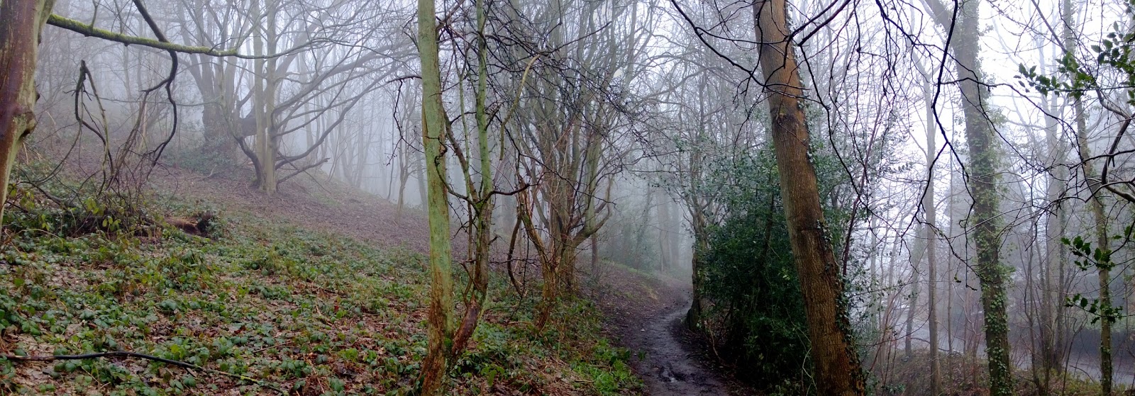Something Beautiful Everyday: West of England Quarry, Malvern ...